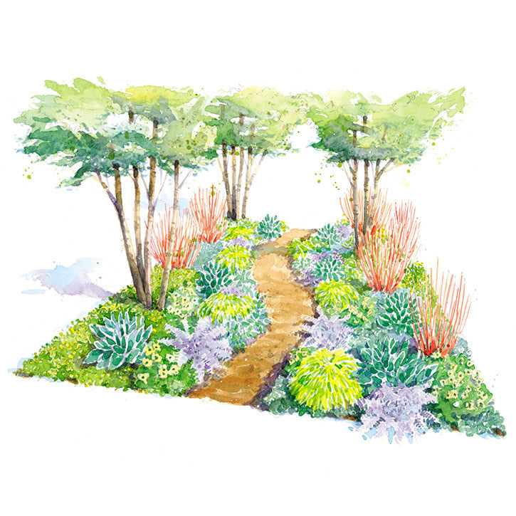 Spring Woodland Walk Garden Plan – The Old Farmer's Almanac Store