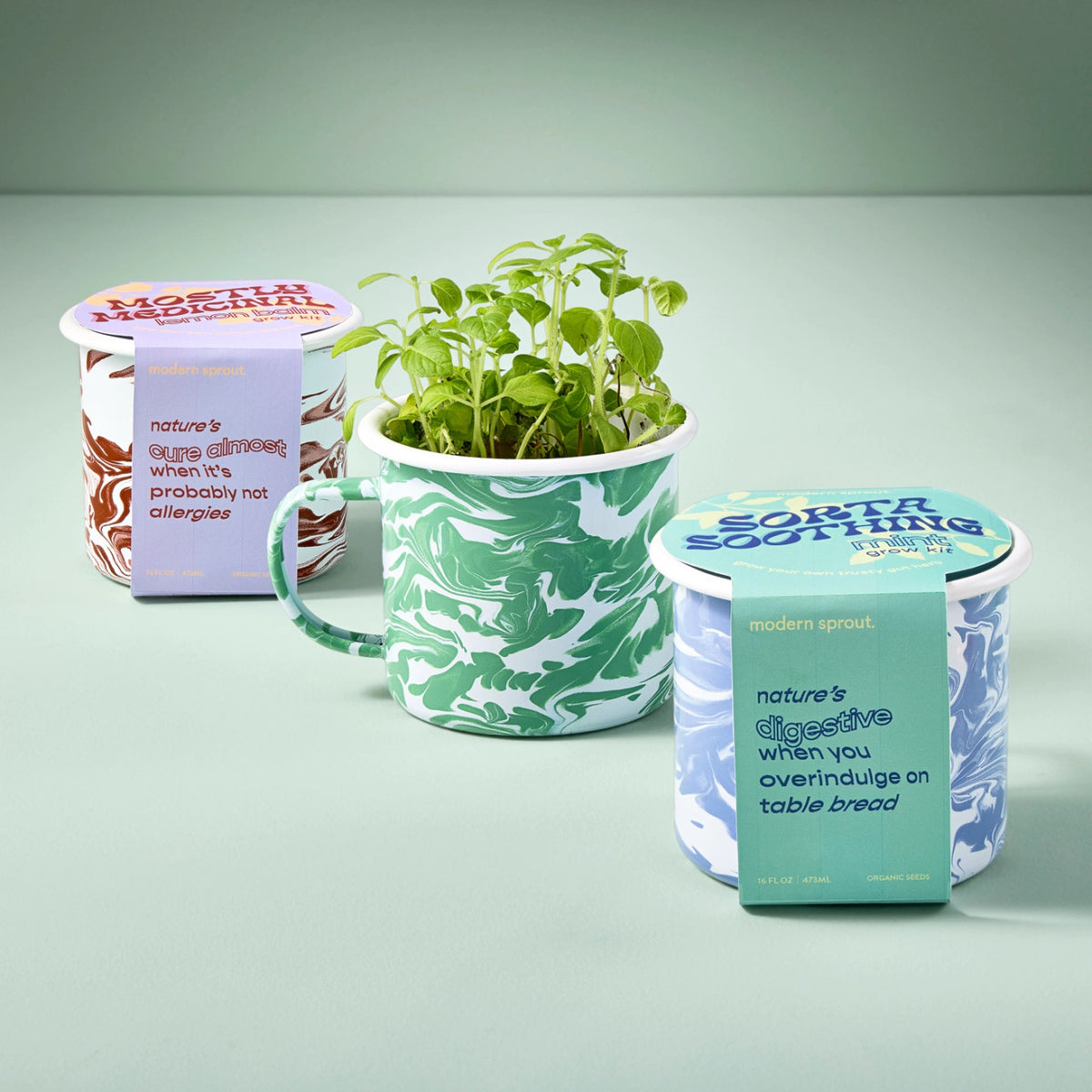 Altered Herbs Mug Grow Kits – The Old Farmer's Almanac Store