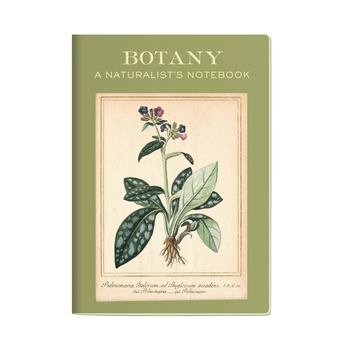 Botany Naturalist's Notebook – The Old Farmer's Almanac Store