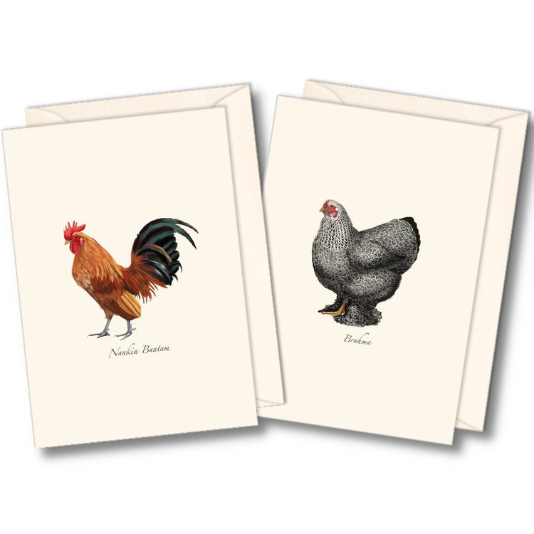 Chicken Notecard Assortment – The Old Farmer's Almanac Store