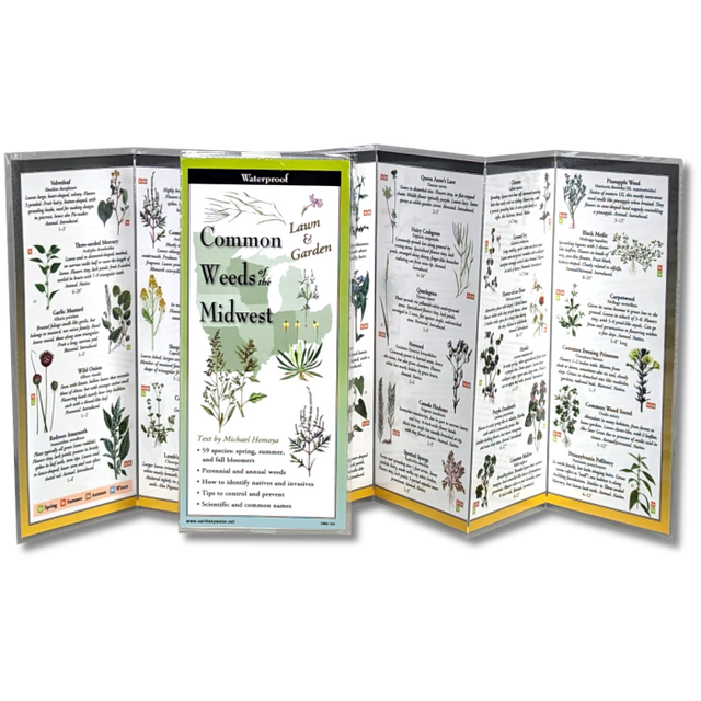 Common Weeds of the Midwest Folding Guide – The Old Farmer's Almanac Store